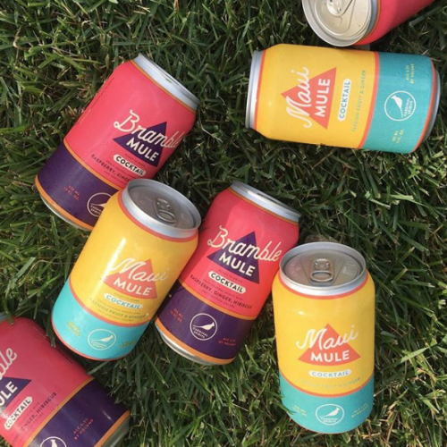 Our Favorite Canned Cocktail Drink Branding – High-Proof Creative